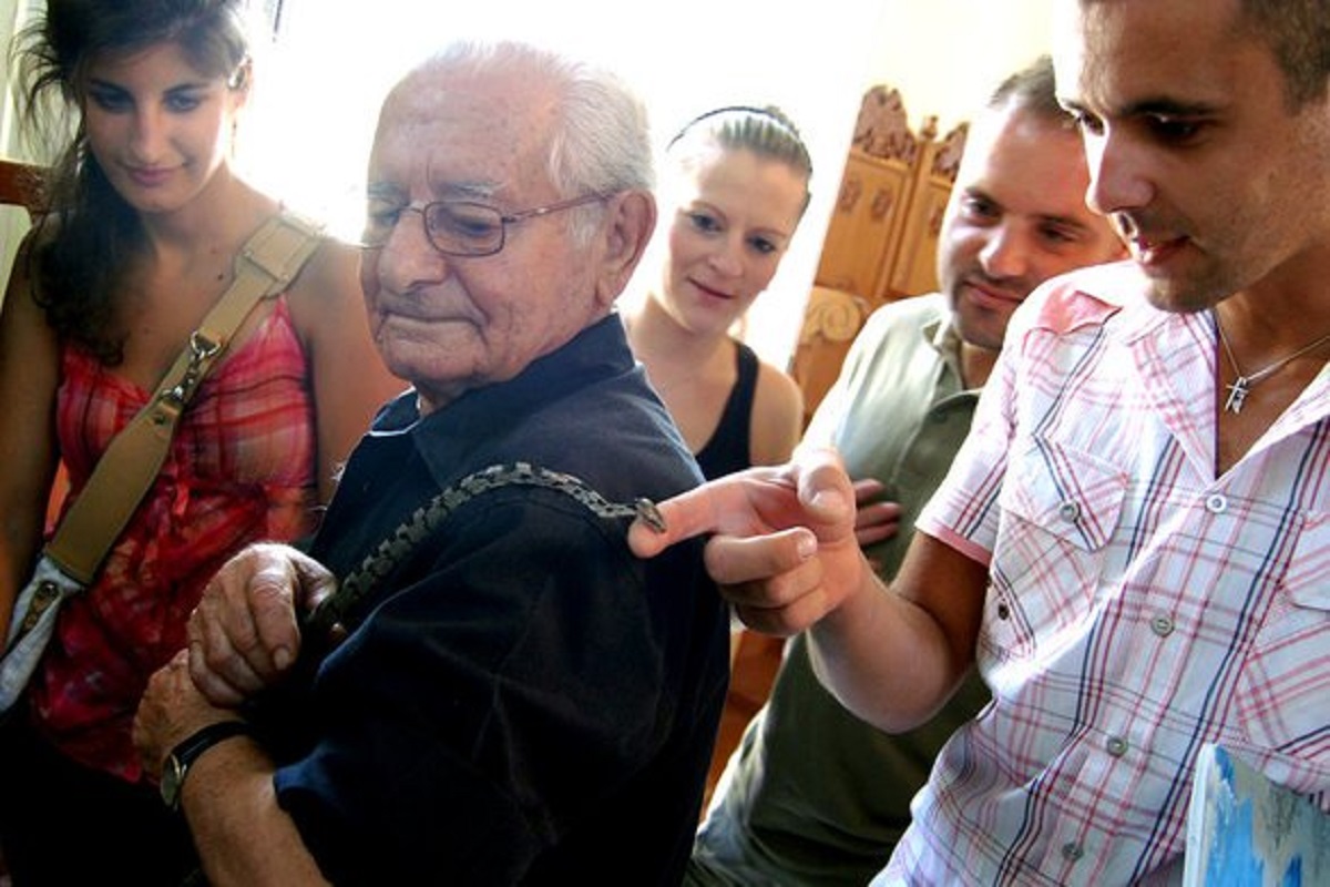 Βγήκαν και φέτος στην Κεφαλονία τα φιδάκια της Παναγίας - Φωτογραφίες ...
