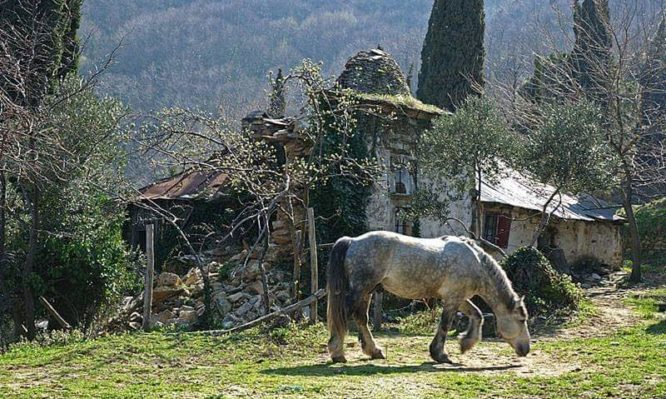 Κυριακή της Σαμαρείτιδος | Dogma