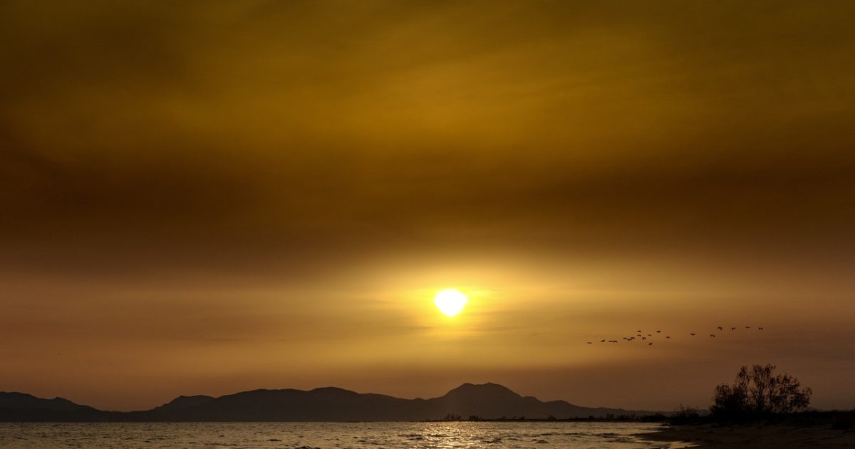 Μην ξεχνάμε το βράδυ τους μοναχικούς ανθρώπους (Βίντεο) | Dogma