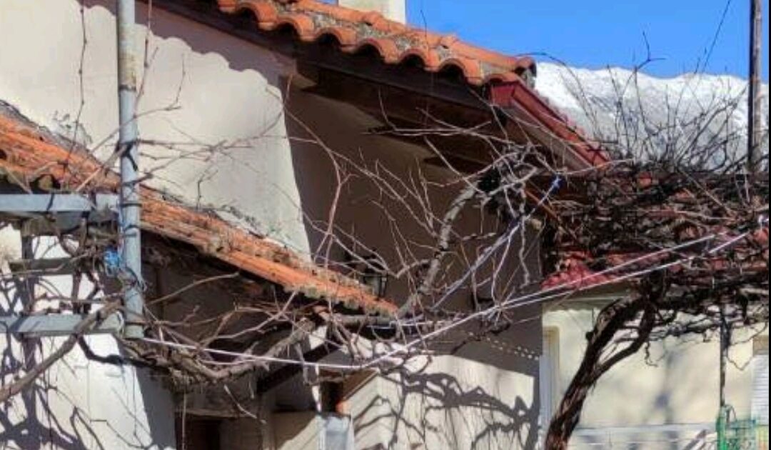 Ο Ελληνικός Ερυθρός Σταυρός στην Κρυόβρυση Ηλείας, σε μία ιδιαίτερη ...