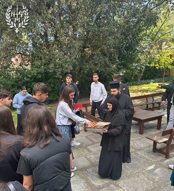 Συγκομιδή ελιάς στην κατασκήνωση “Ο ΚΑΛΟΣ ΠΟΙΜΗΝ” | Dogma
